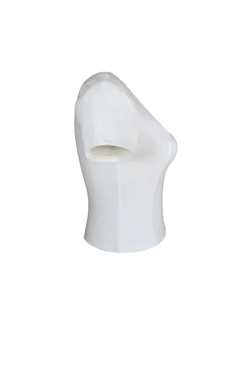 Celestial Top - Odysee Official